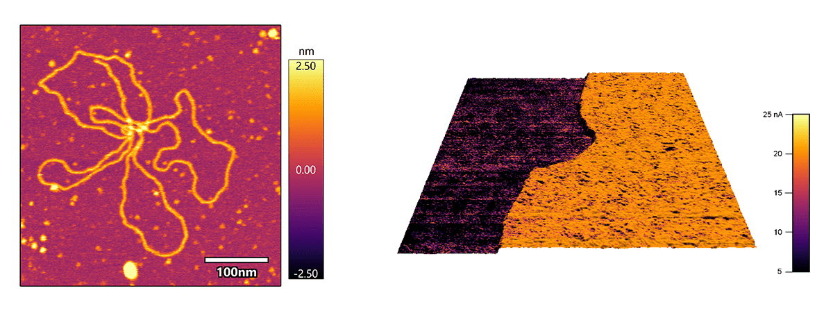 Announcing Nanoelectrical and Environmental Control Accessories for ...