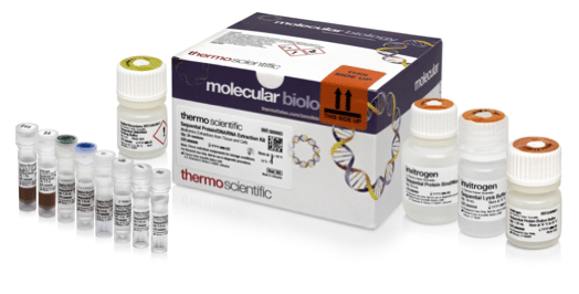 Thermo Fisher Scientific Introduces Kit Enabling Protein, DNA and RNA ...